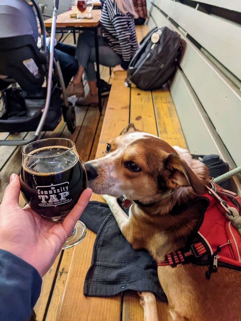 Community Tap - Dog Friendly Geenville